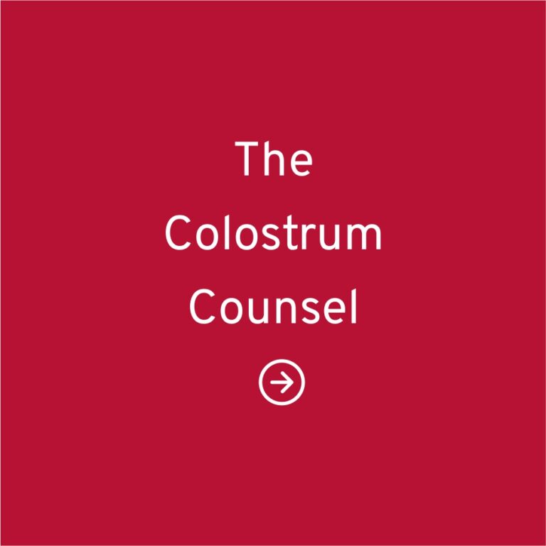 Education - SCCL Site