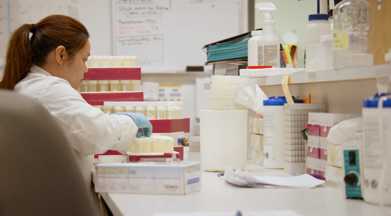 Education - SCCL Site